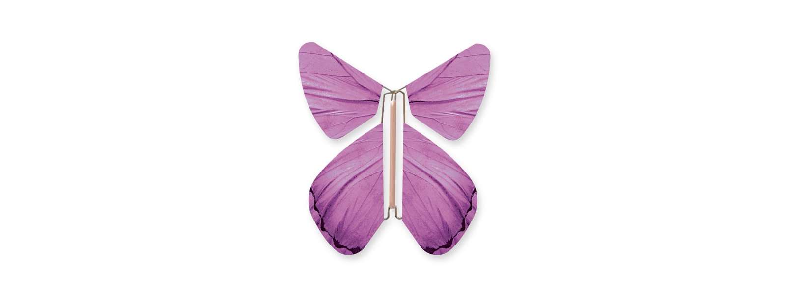Magic Butterfly Impulse Purple